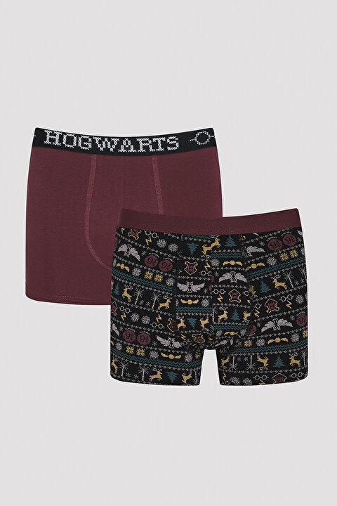 Erkek 2li Boxer - Harry Potter Koleksiyonu PLR0LZJI23SK-MIX - Çok ...